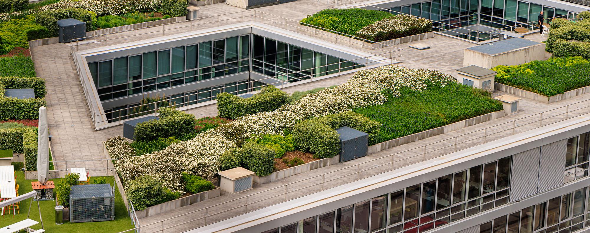 Green roofs and facades are more beneficial than you think! - KBC ...