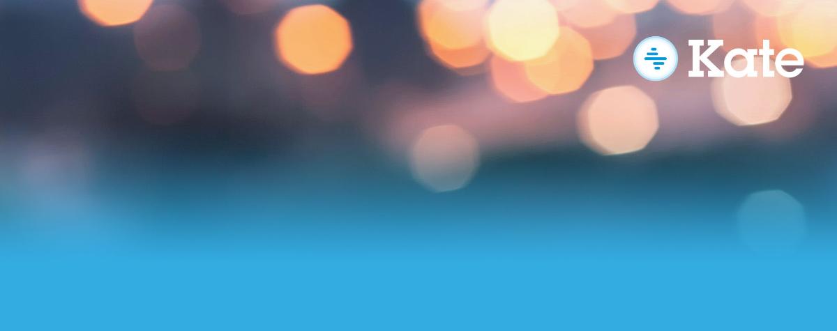 Questions about Kate Coins - KBC Brussels Bank & Insurance