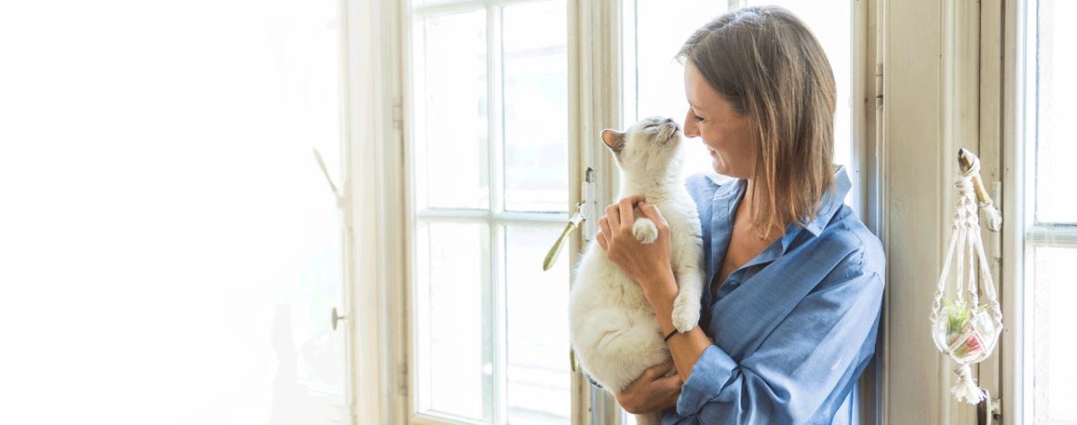 KBC Brussels Easy Invest Service - KBC Brussels Bank & Insurance