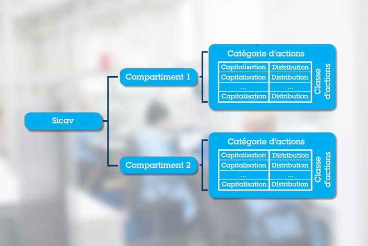 Qu'est-ce qu'une sicav? - KBC Brussels Banque & Assurance
